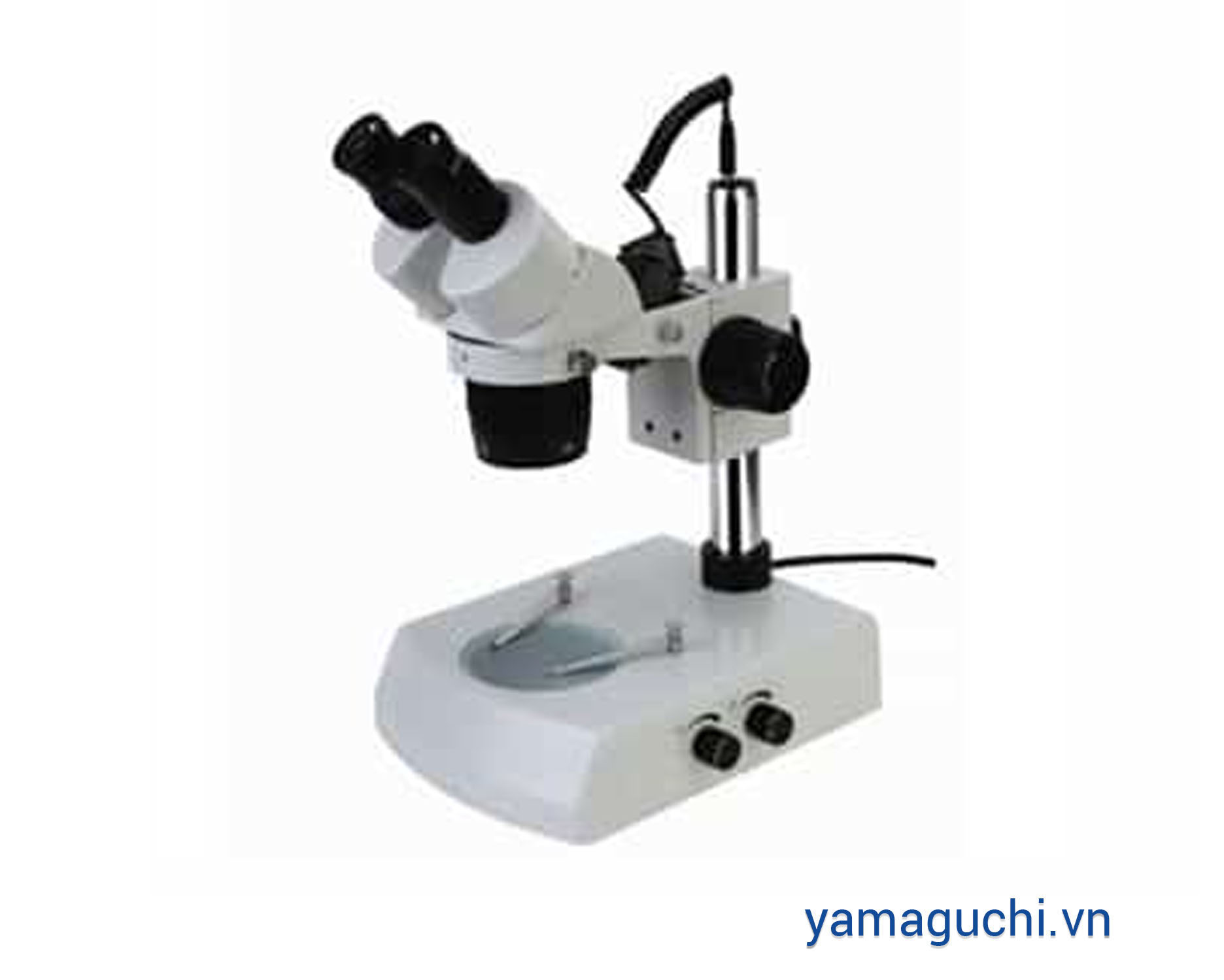 XT121324B2 Stereo Microscope